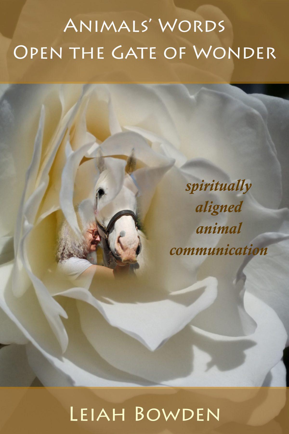 Animals’ Words Open the Gate of Wonder – Agence Schweiger