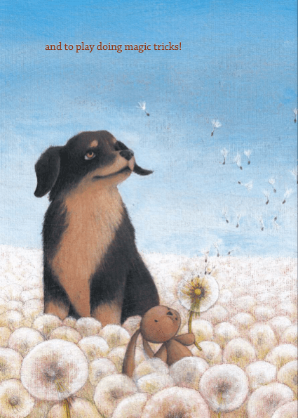 Ciacio in the Countryside – Agence Schweiger