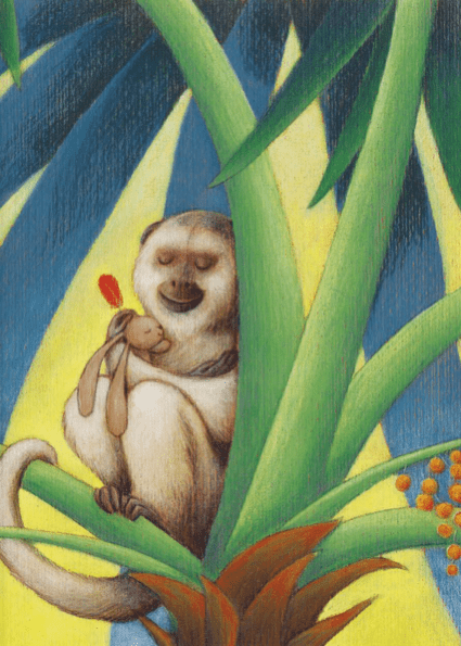 Ciacio in the Amazon Rainforest – Agence Schweiger