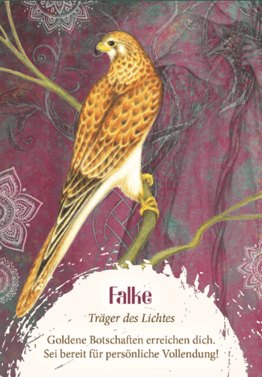 The Bird Oracle – Agence Schweiger